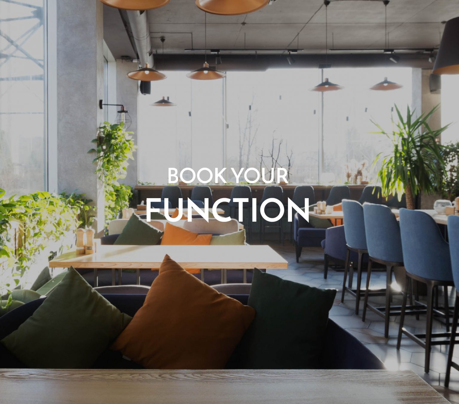 What's On | PINK HILL HOTEL